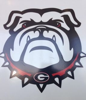 Georgia Bulldogs unveils new "Athletic Brand Identity," gets new ...